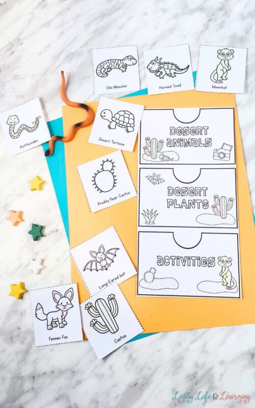 Desert Lapbook: Exploring Desert Habitats Together