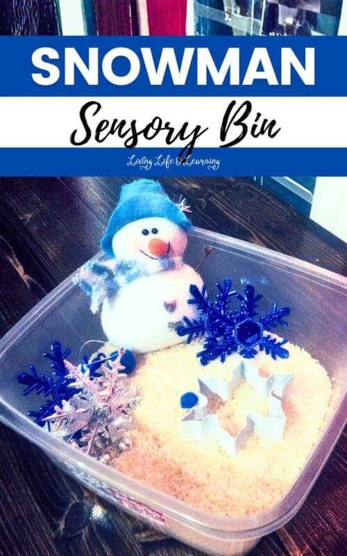 Snowman Sensory Bin to Explore Textures This Winter Season