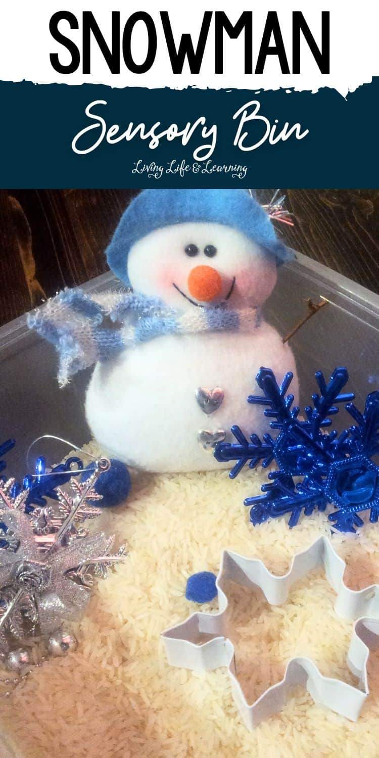 Snowman Sensory Bin to Explore Textures This Winter Season