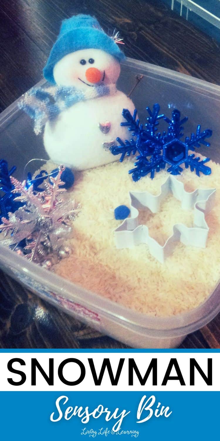 Snowman Sensory Bin to Explore Textures This Winter Season