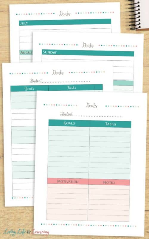 What Are Your Homeschool Goals to Achieve More?