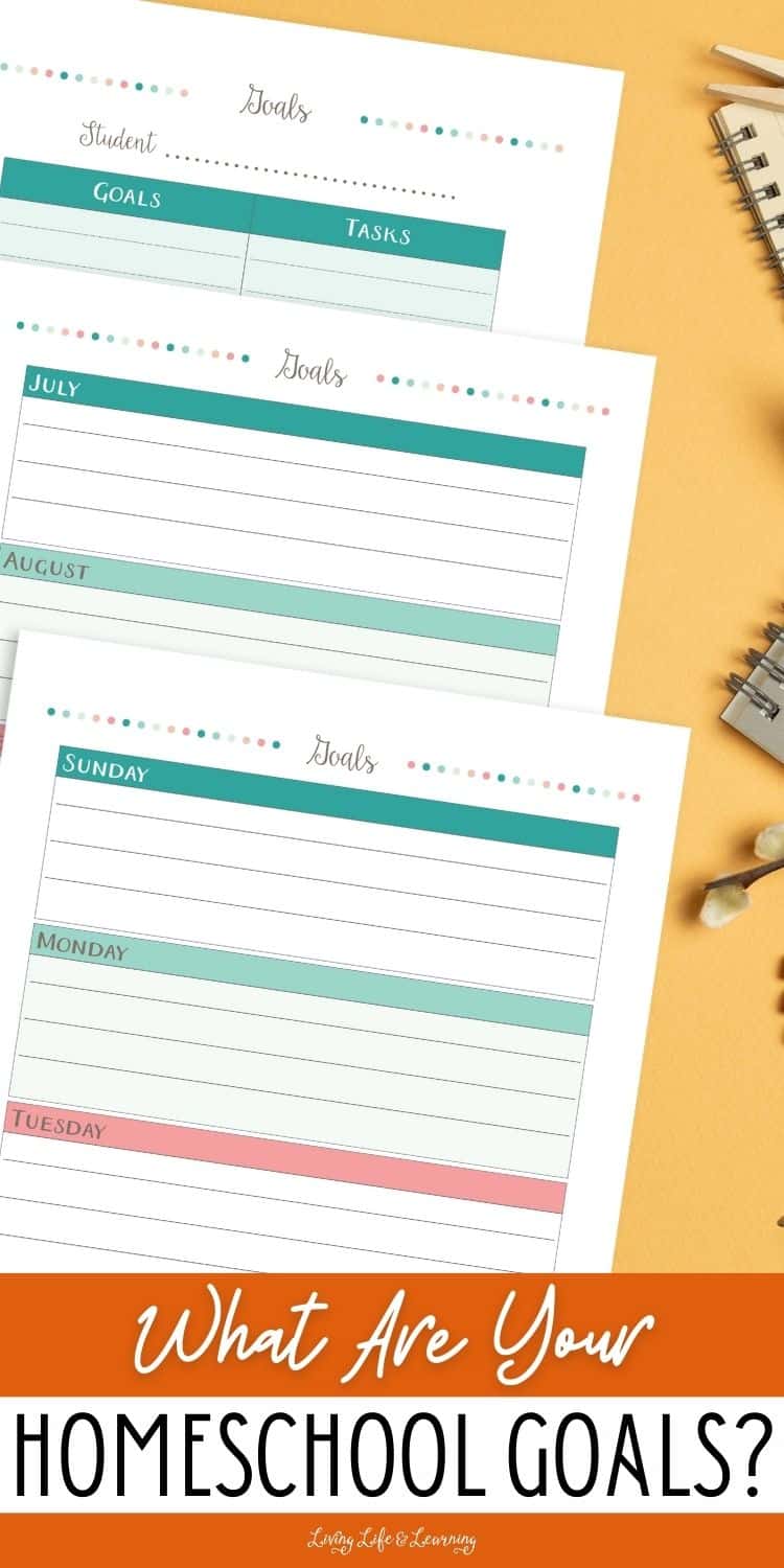 What Are Your Homeschool Goals to Achieve More?