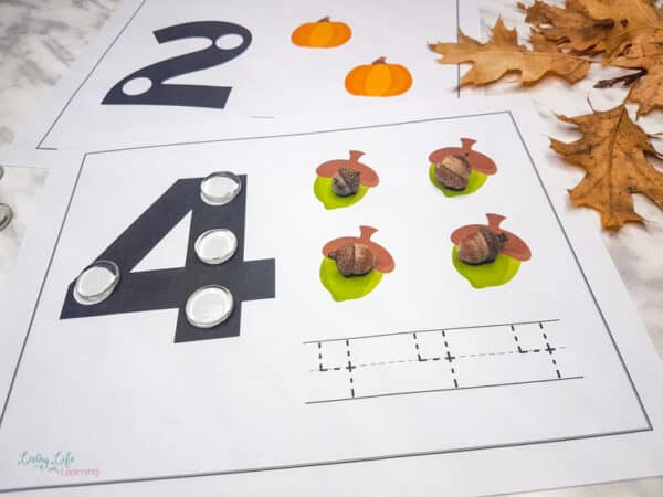 Interactive Fall Math Activities for Kids: Beyond Paper and Pencil