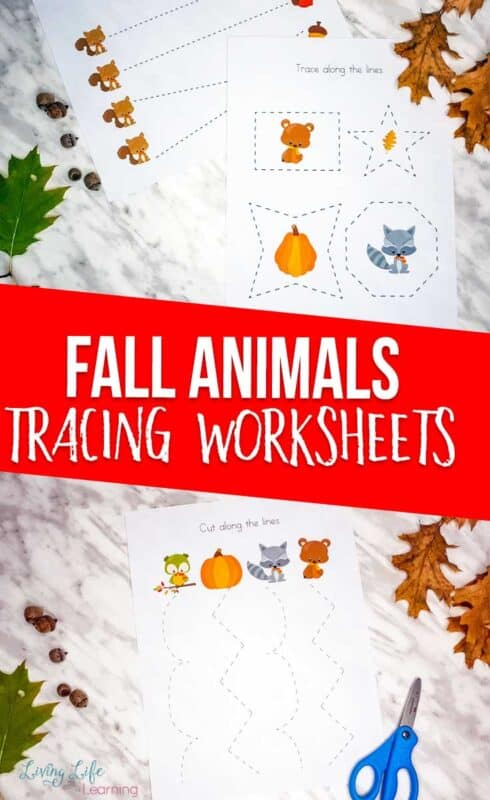 Autumn Printable Activities for Kids
