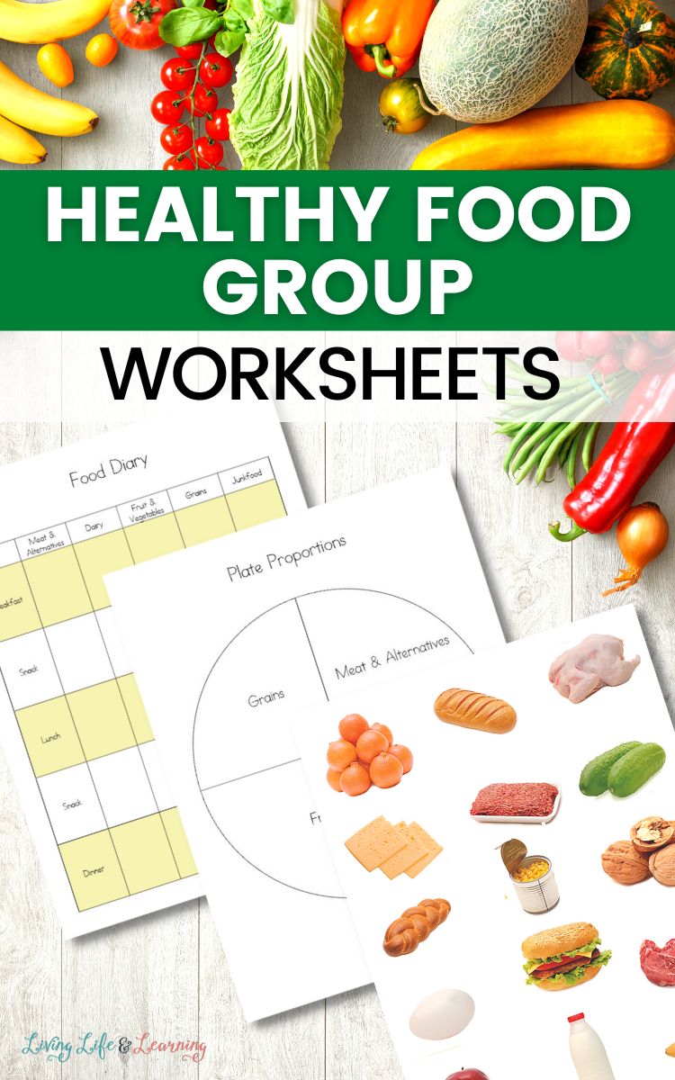 Food Groups Worksheets For Kindergarten Worksheets For Kindergarten Food Groups Worksheets For Kindergarten Worksheets For Kindergarten