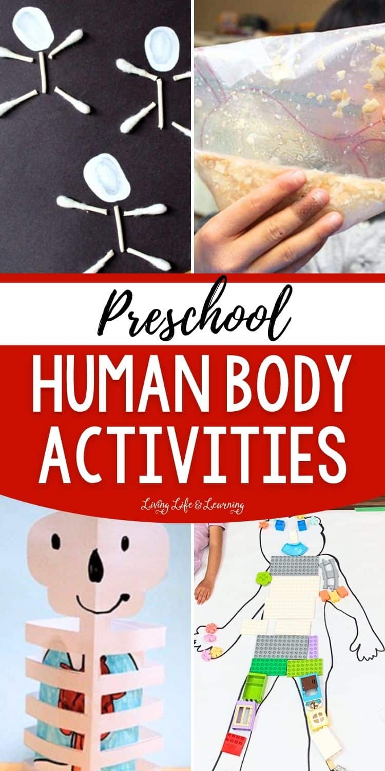 Preschool Human Body Activities