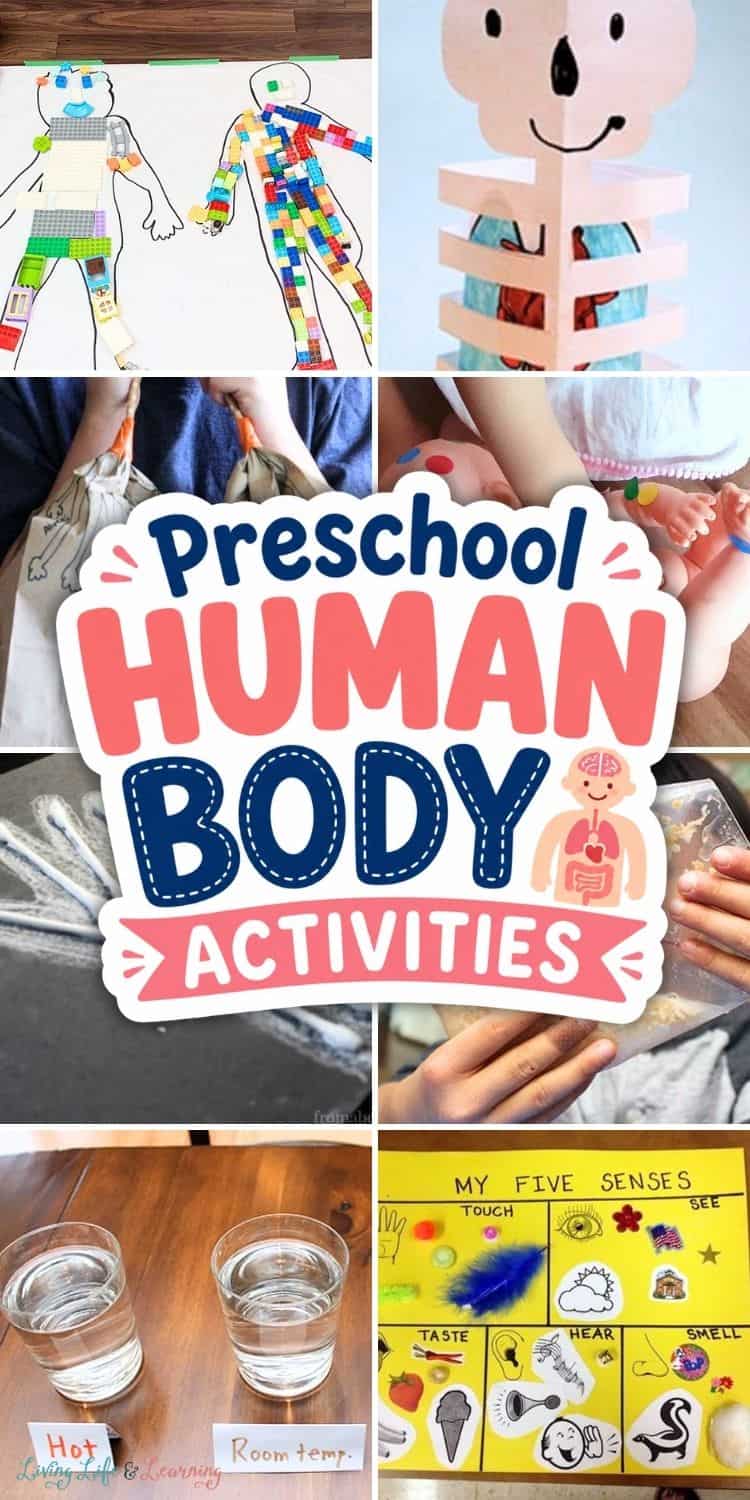 Preschool Human Body Activities