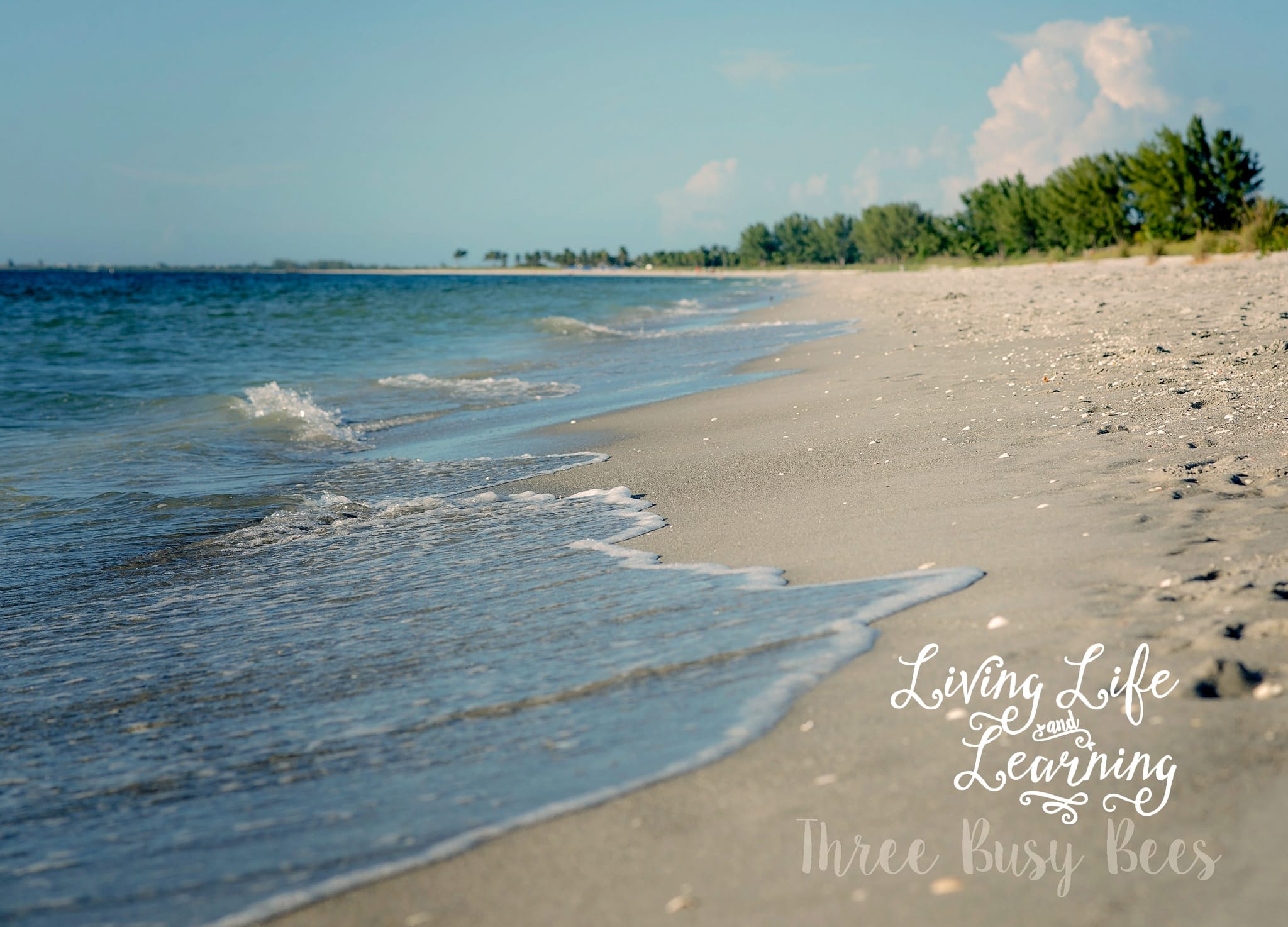 Sanibel and Captiva Island with the Kids