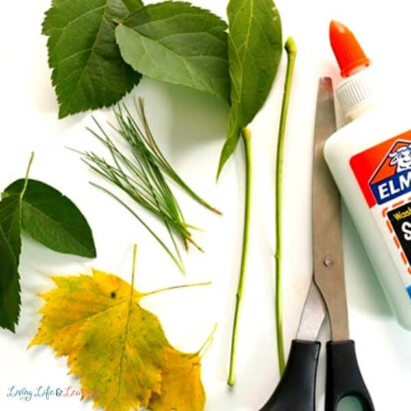Fall Leaf Butterflies Craft: Creative Kids Project