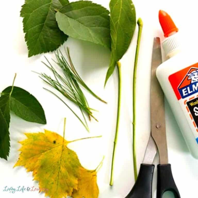 Fall Leaf Butterflies Craft: Creative Kids Project