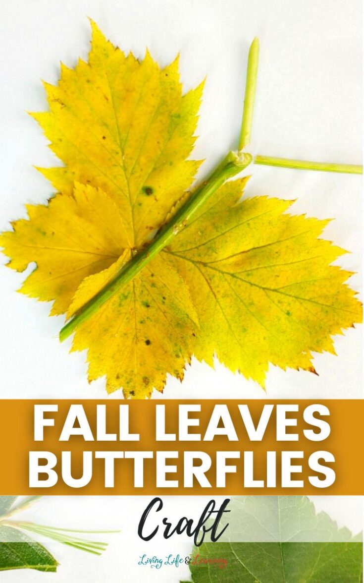 Fun Fall Animal Activities for Preschoolers: Learn and Explore!
