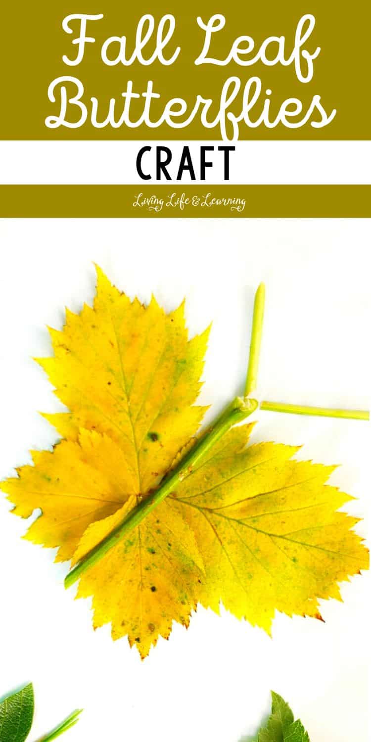Fall Leaf Butterflies Craft: Creative Kids Project