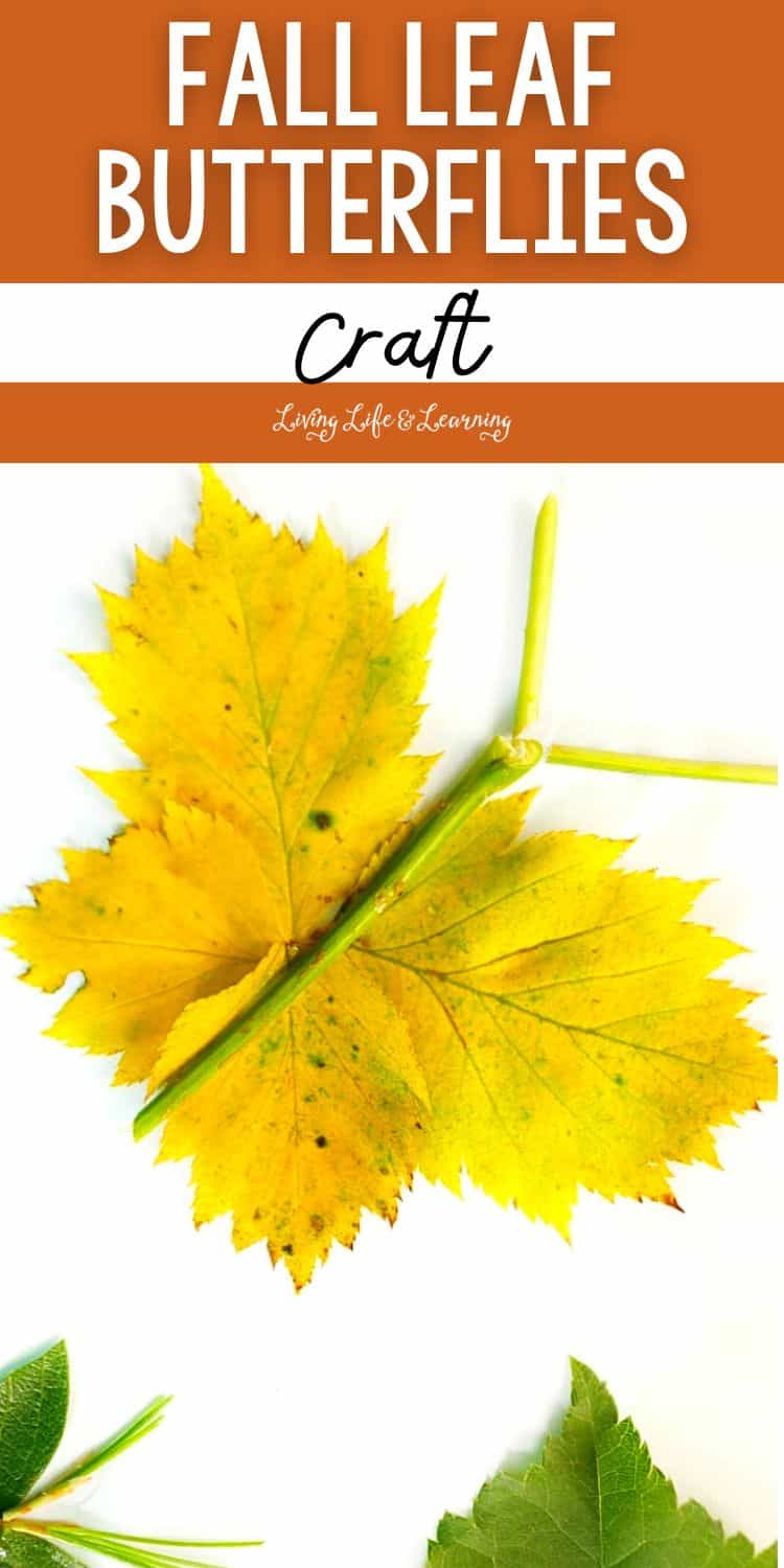 Fall Leaf Butterflies Craft: Creative Kids Project