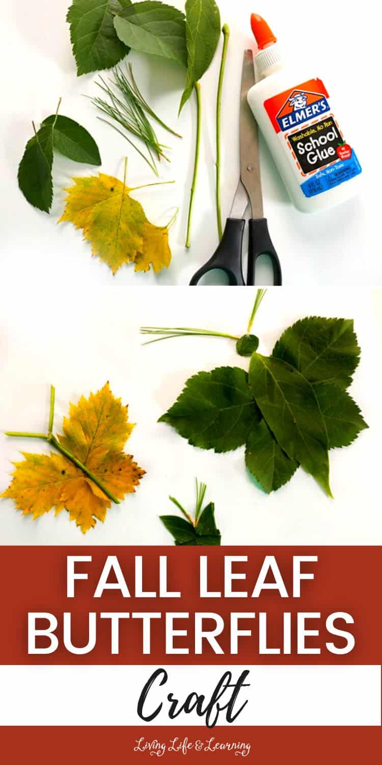 Fall Leaf Butterflies Craft: Creative Kids Project