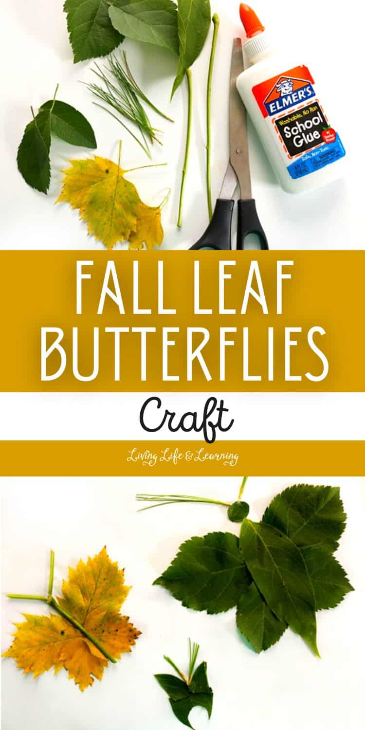Fall Leaf Butterflies Craft: Creative Kids Project