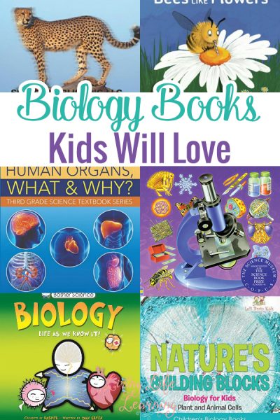 How to Use Lapbooks for Science
