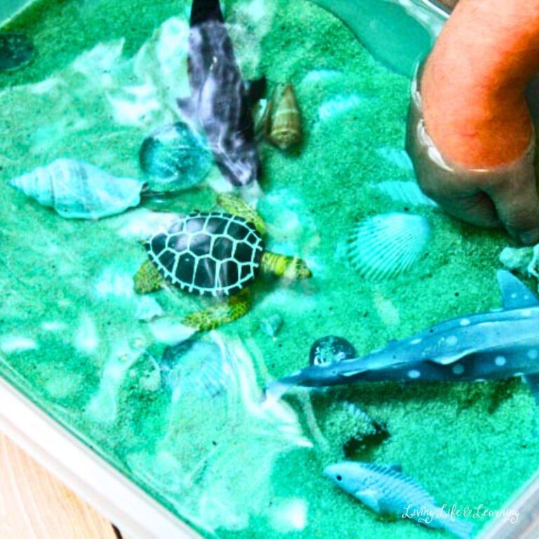 Ocean STEM Activities for Kids: Explore and Learn