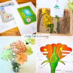 Plant and Botany Activities for Kids: Engaging Ways To Learn