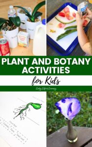 Plant and Botany Activities for Kids: Engaging Ways To Learn