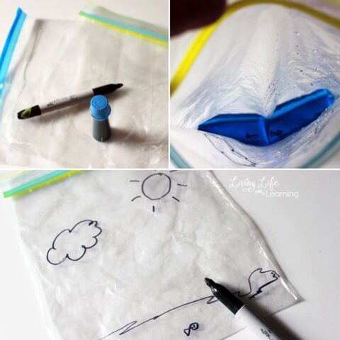 Water Cycle Activities for Kindergarten