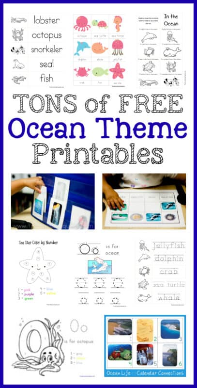 Ocean Learning Activities for Kids