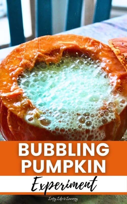Pumpkin Sensory Activities