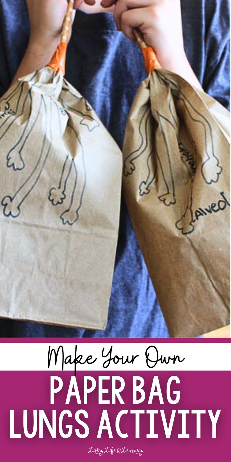 Make Your Own Paper Bag Lungs Activity