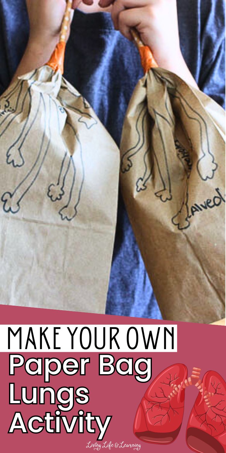 Make Your Own Paper Bag Lungs Activity