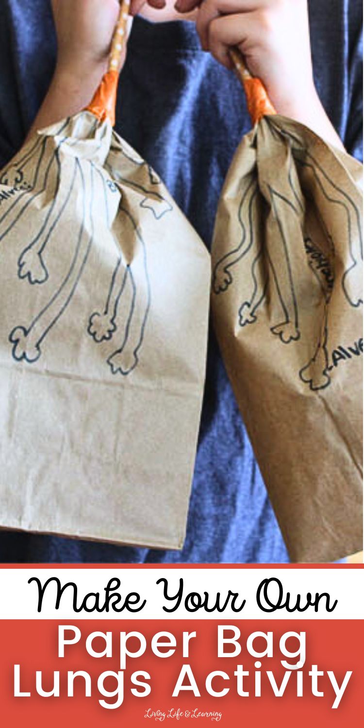 Make Your Own Paper Bag Lungs Activity