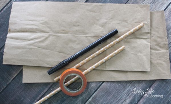 Make Your Own Paper Bag Lungs Activity