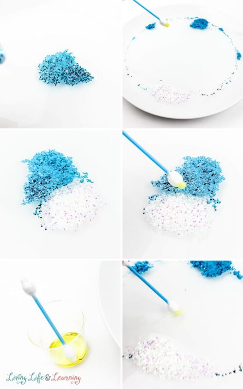 Hands-On Learning with the Glitter Germ Science Experiment