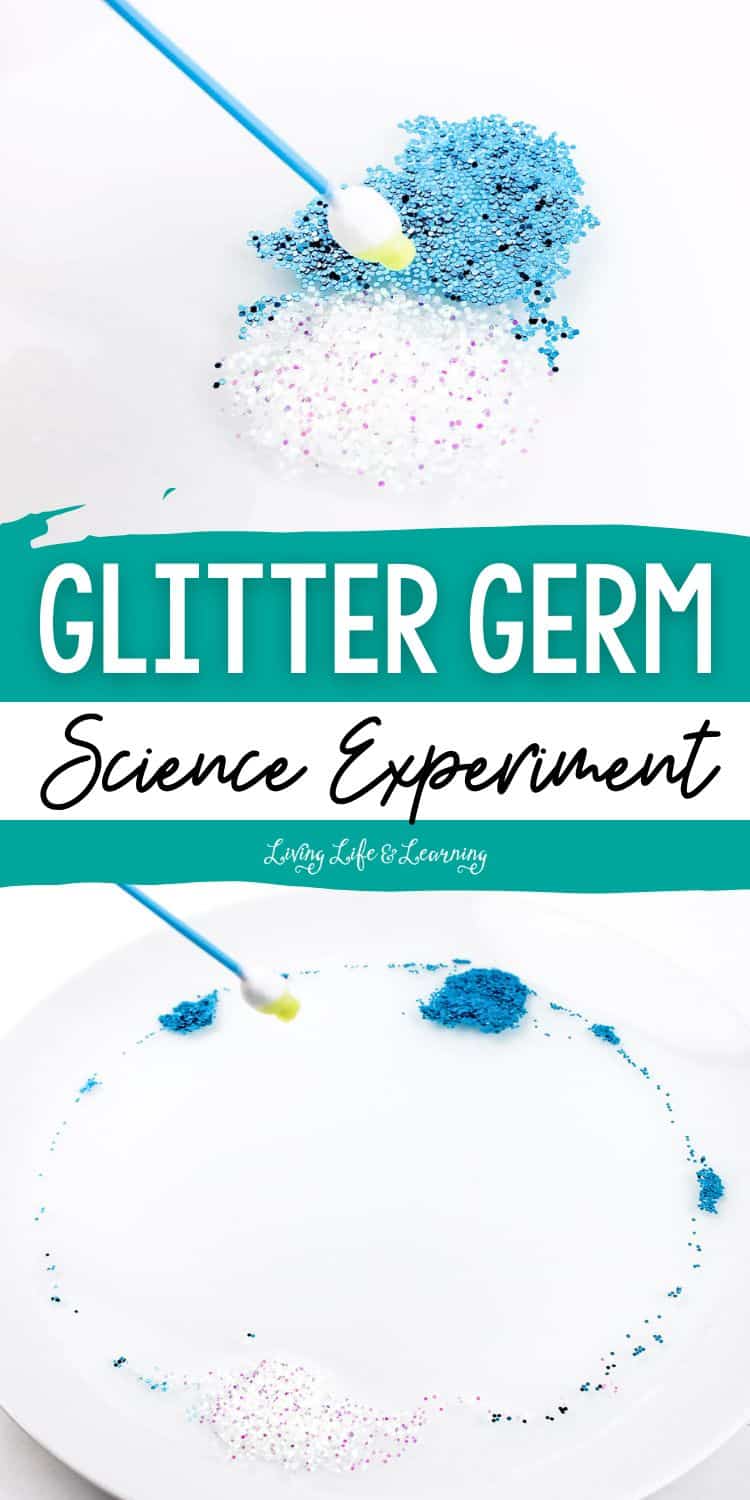 Hands-On Learning with the Glitter Germ Experiment
