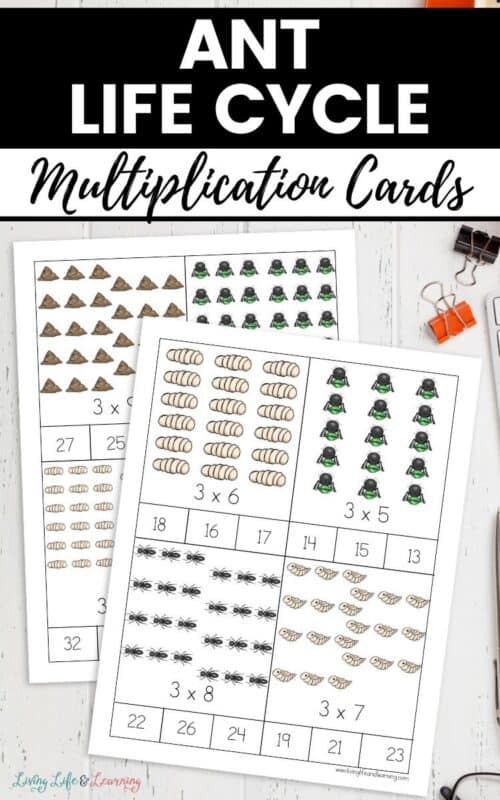 Free Printable Ant Life Cycle Multiplication Cards For Fun Learning