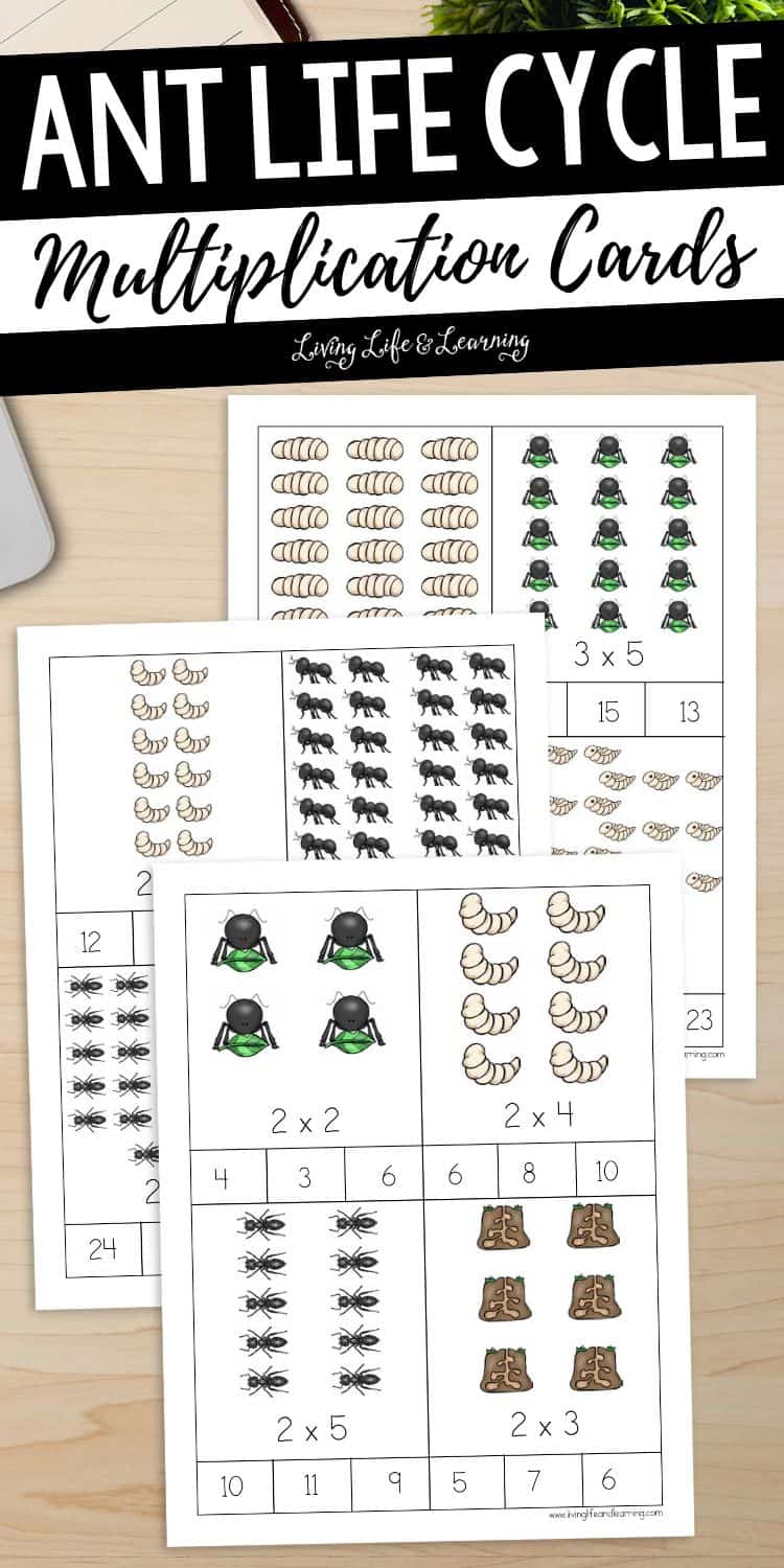 Free Printable Ant Life Cycle Multiplication Cards For Fun Learning