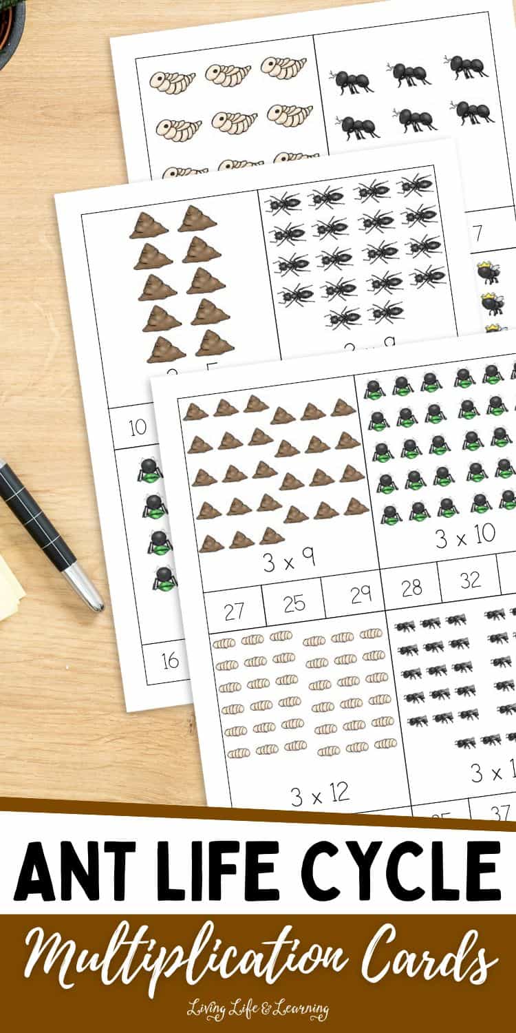 Free Printable Ant Life Cycle Multiplication Cards For Fun Learning
