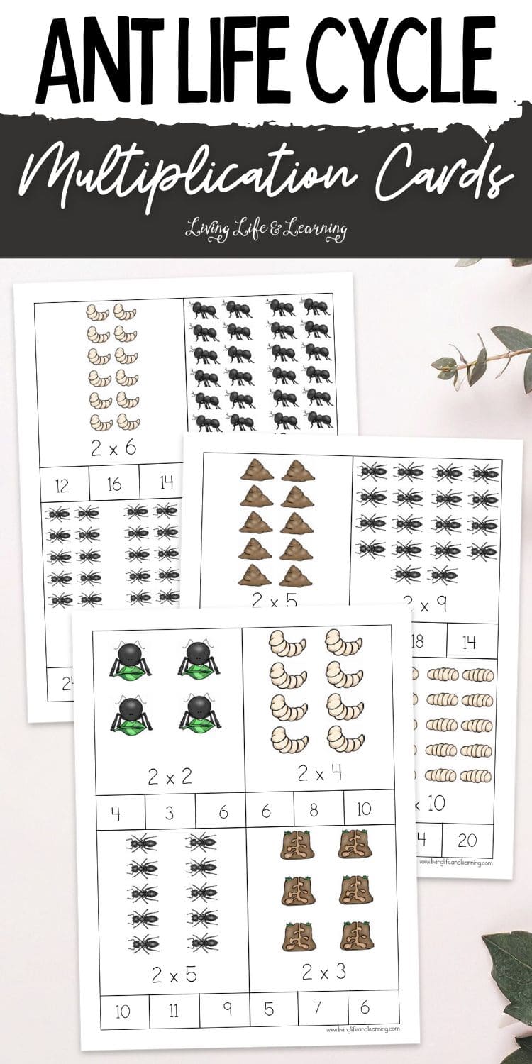 Free Printable Ant Life Cycle Multiplication Cards For Fun Learning
