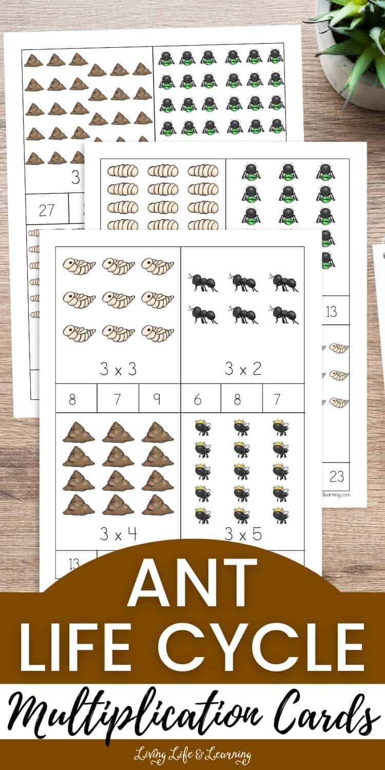 Free Printable Ant Life Cycle Multiplication Cards For Fun Learning