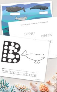 Whale Worksheets for Kids: Fun Learning Activities