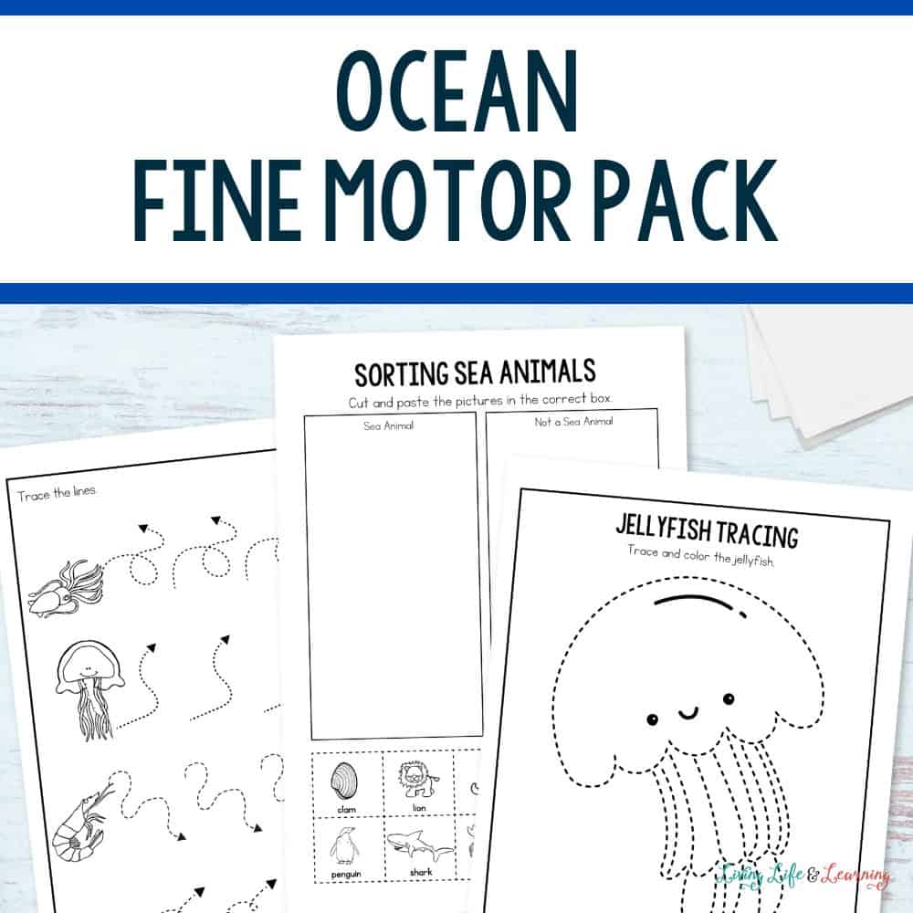 Ocean Worksheets for Preschool: Easy Learning Activities