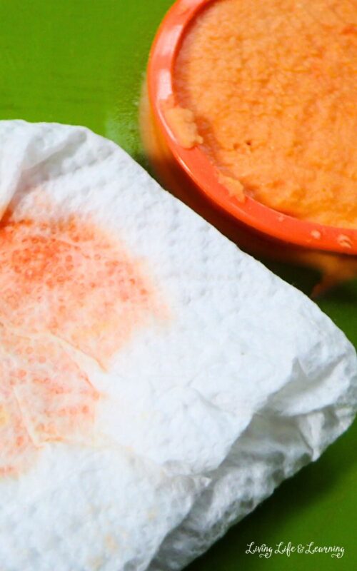 Fizzy Pumpkin Science Experiment: Fall Fun for Kids