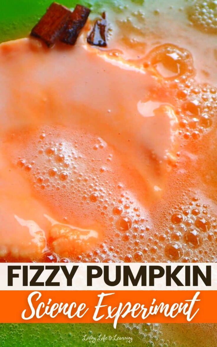 Fizzy Pumpkin Science Experiment