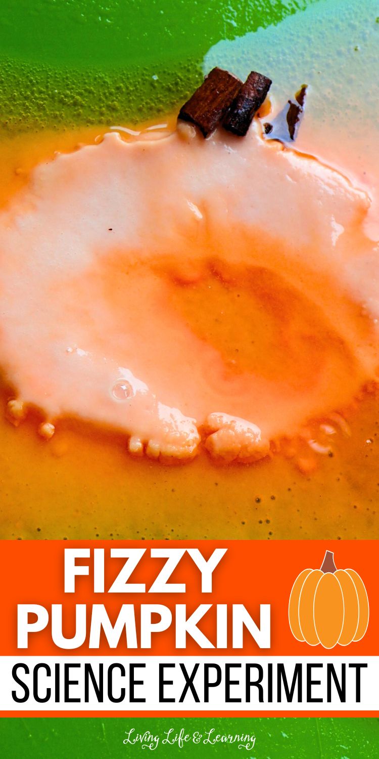 Fizzy Pumpkin Science Experiment: Fall Fun for Kids