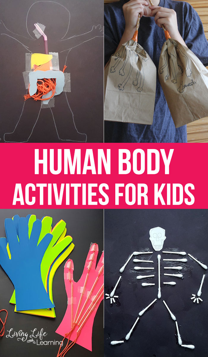 Human Body Activities for Kids