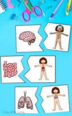 Human Body Puzzles to Enhance Learning Experience
