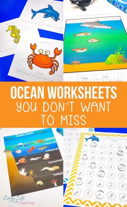 Ocean Worksheets You Don't Want to Miss