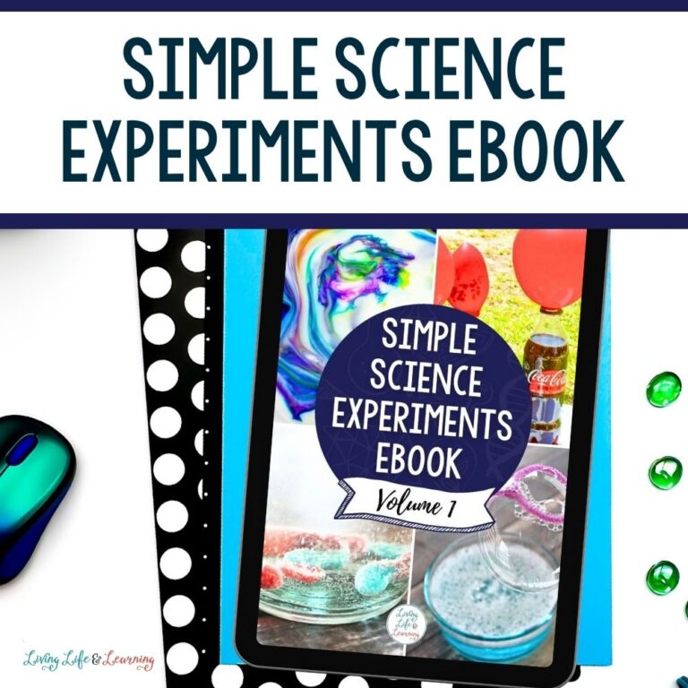 Rubber Egg Experiment: Explore Osmosis