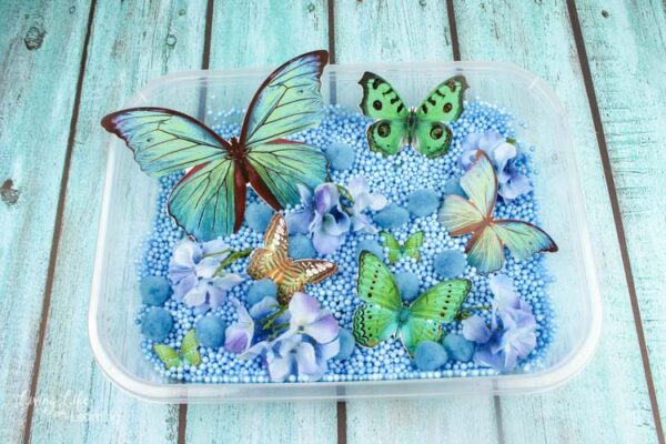 Easy Butterfly Sensory Bin