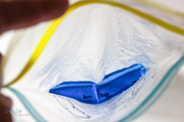 A Captivating Water Cycle Bag Experiment For Kids Of All Ages