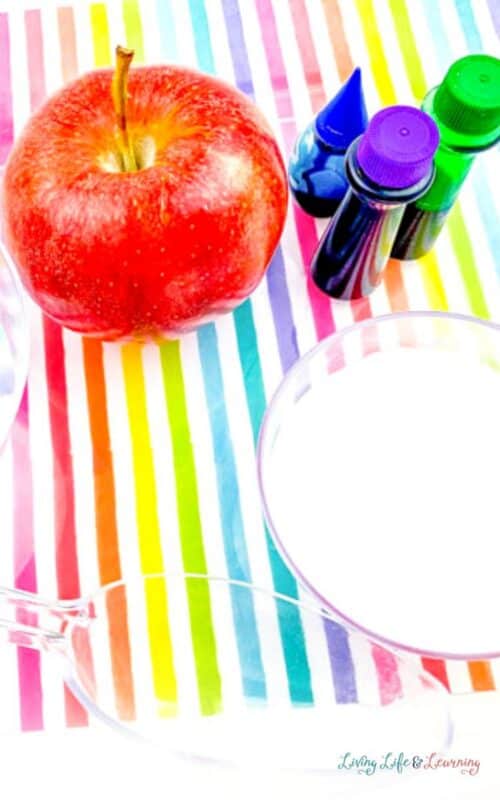 Fizzy Apple Volcano Science Experiment You Can Try