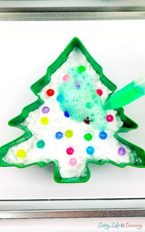 Hands-on Science: Fizzy Baking Soda Christmas Tree Experiment